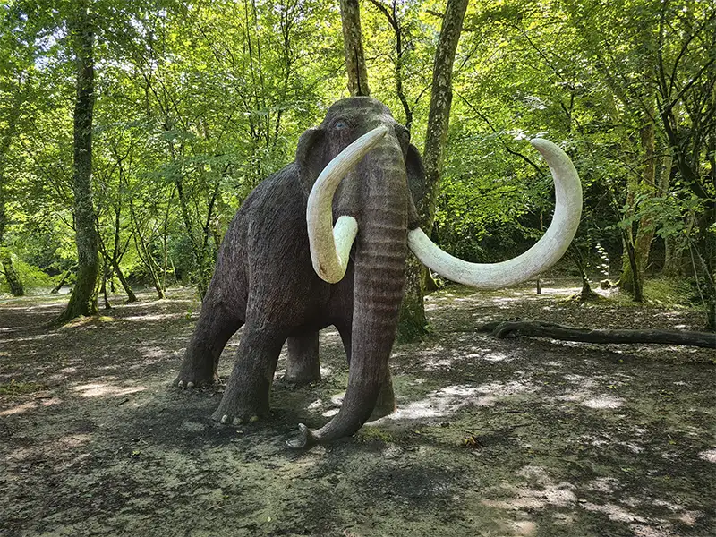 Mamut de Resines - Sumando Momentos